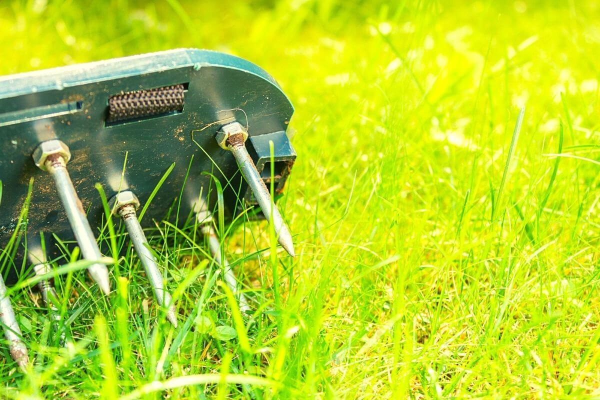 Lawn Aerating | "Aeration" or "Coring" for a Healthy Lawn
