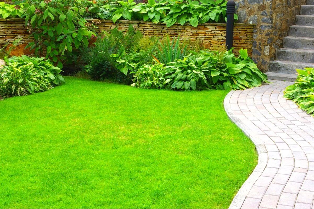 Hydroseeding | Full Grass Coverage, Done by Pros!